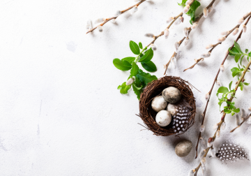 Strona główna PTND | ptnd.pl